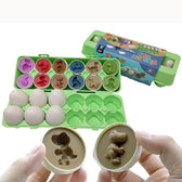 Montessori Eggs Puzzle Toy