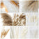 Tulia Artificial Plant